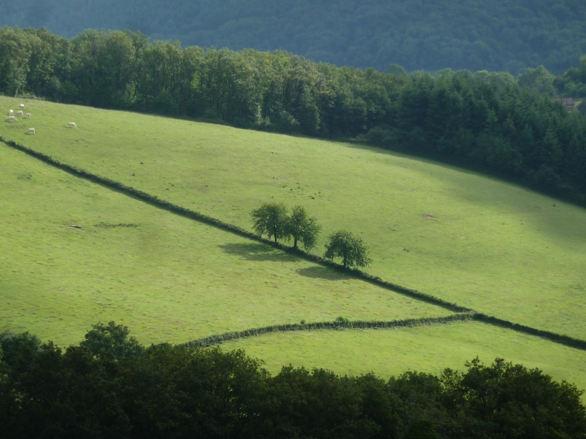 Way to Assisi | Thru hikes in Europe, Asia, USA…