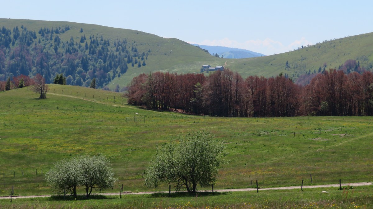 Vosges | Thru hikes in Europe, Asia, USA…