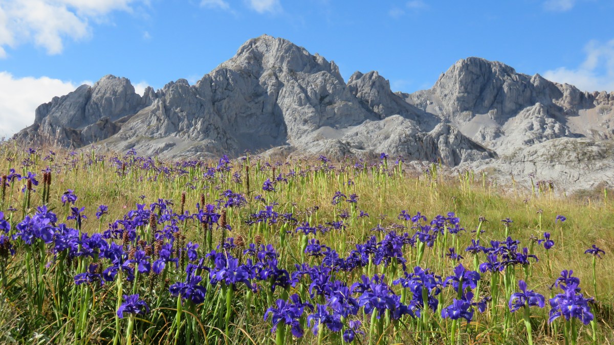 Cantabrian Mountains | Thru hikes in Europe, Asia, USA…